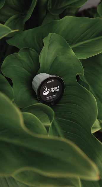 xBloom - Your Home Coffee, Professionally Made